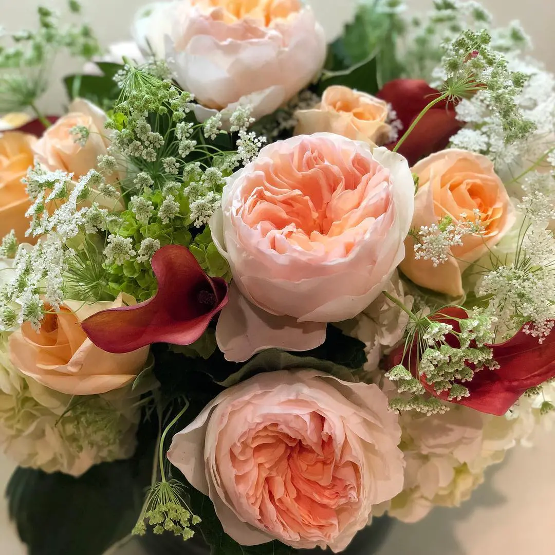 Washington DC Florist Floral Delivery Allan Woods Flowers