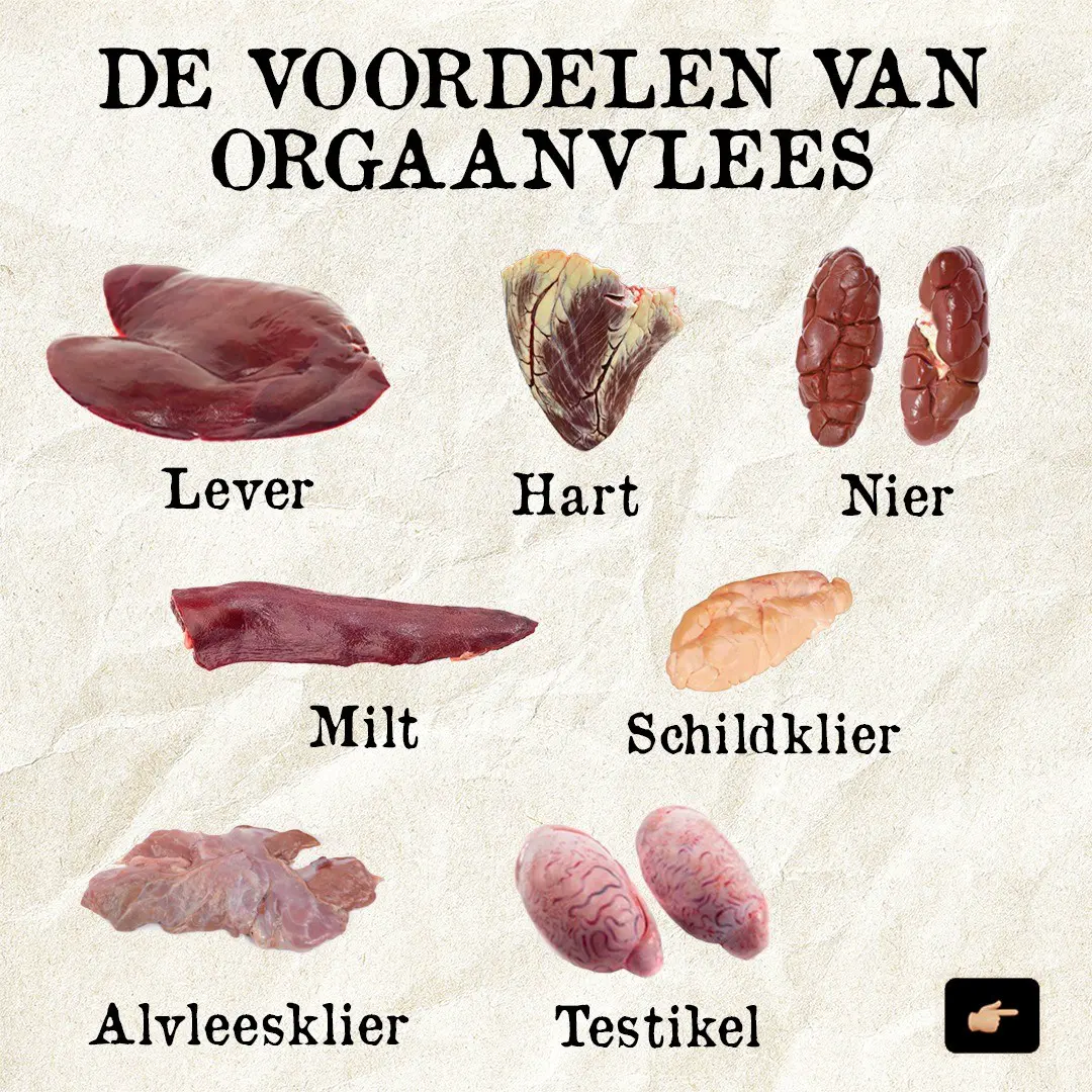 ALLES – tagged "Bundels" – Modern Native NL